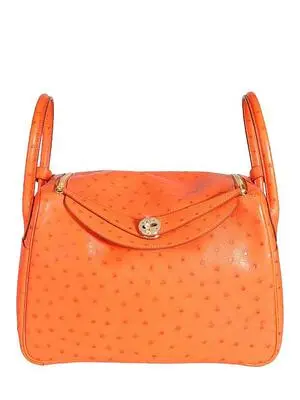 HERMES HERMÈS Lindy Exotic Handbag