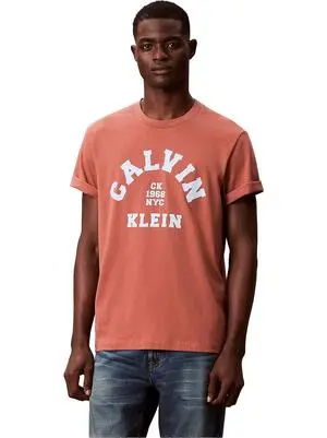 Calvin Klein Varsity Logo Graphic Relaxed T-shirt - Warm Brick