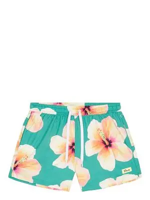 DUVIN DESIGN Bloom Printed Swim Shorts - Green
