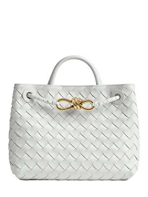 Bottega Veneta Small Andiamo Hoarfrost