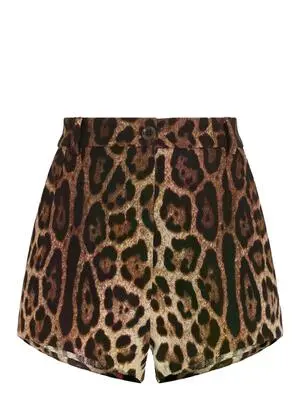 Dolce & Gabbana Leopard-print Wool Shorts - Brown