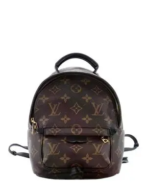 LOUIS VUITTON Palm Springs Mini Backpack - Brown