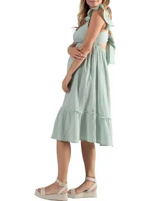 CACHE COEUR Melody Maternity And Nursing Dress - Sky