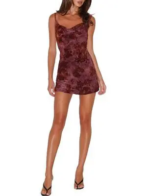 TIGER MIST Sparrow Floral Velvet Burnout Mini Dress - Chocolate Brown