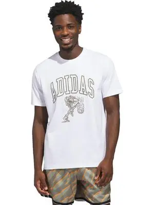 Adidas Collegiate Arch Graphic T-shirt - White