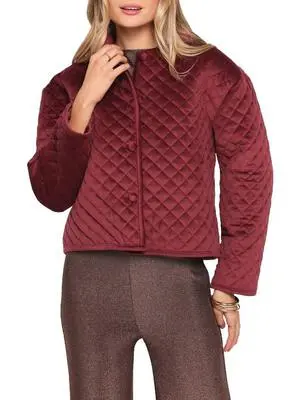 PETAL & PUP Quilted Velvet Jacket - Wine