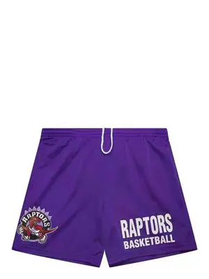 Mitchell & Ness Nba Raptors Mesh Logo Shorts - Purple