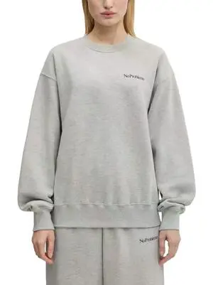 Aries Crew-neck Sweatshirt - Grey
