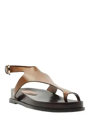 ALEXANDRE BIRMAN Eliah Sport Sandals - Espresso