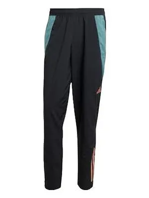 Adidas Fc Bayern Tiro 24 Presentation Tracksuit Pants - Black