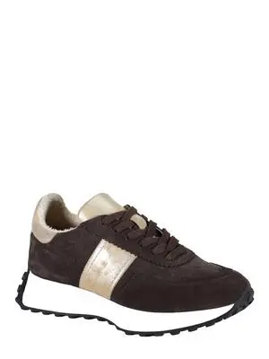 DIBA TRUE Know It All Sneaker - Dark Brown/gold