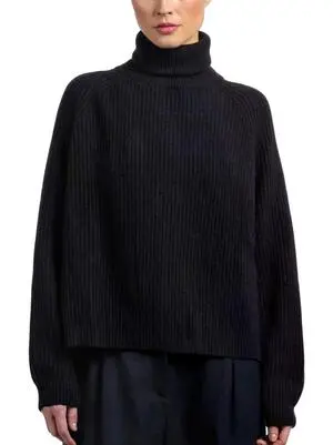 Dusan Roll-neck Ribbed Sweater - Blue