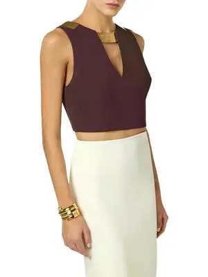 Elisabetta Franchi V-neck Sleeveless Top - Brown
