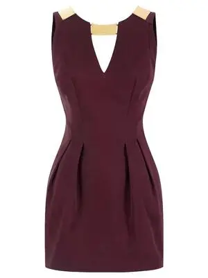 Elisabetta Franchi Sleeveless Mini Dress - Brown
