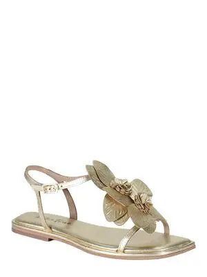 DIBA TRUE Leather Floral Flat Sandal - Gold