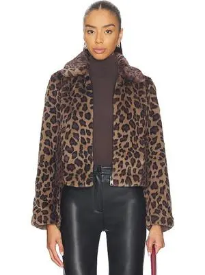 ALLSAINTS Saye Faux Fur Jacket - Leopard Brown
