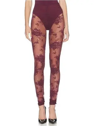Andamane Zillah Lace Leggings In Burgundy - Cabernet