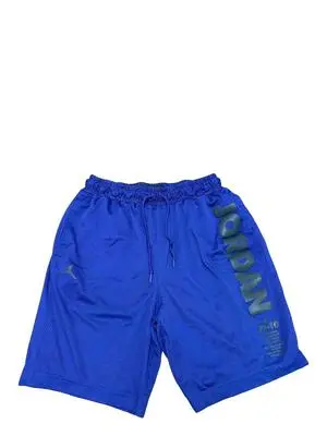 JORDAN Legacy 11 Mesh Shorts - Blue