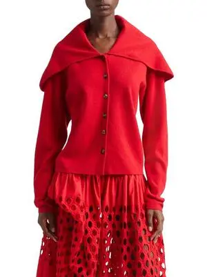 DIOTIMA Sint Cashmere Cardigan - Grenadine