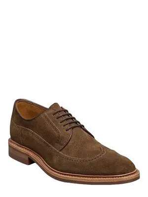 Allen Edmonds Winston Wingtip Brogue Derby - Snuff