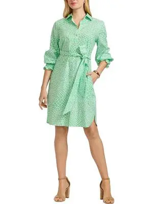 Foxcroft Abby Belted Linen Blend Shirtdress - New Leaf/ White