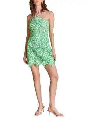Endless Rose Halter Neck Guipure Lace Mini Dress - White/ Green