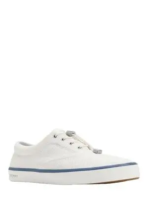 Sperry Fairlead Cvo Sneaker - White
