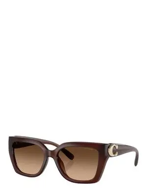 COACH Coach HC8408U Sunglasses Noisette Laiteux