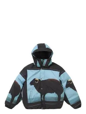 Supreme Damien Hirst Down Puffer Jacket - Black