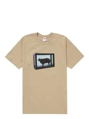Supreme Damien Hirst Tee Shirt Khaki