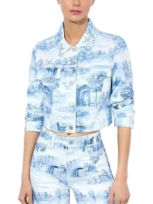 Alice + Olivia Alice And Olivia Chloe Boxy Cropped Jacket Blue Multi