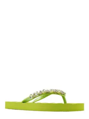 ZIGI Queen Flip Flop - Lime