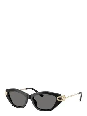 Tiffany & Co. Tiffany TF4231U Sunglasses Noir