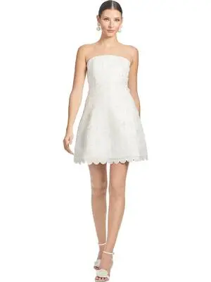 Sachin & Babi Alanna Embellished Lace Fit And Flare Dress - Ivory
