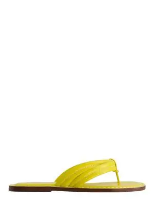 Bernardo Bernardo Footwear Miami Thong Sandal Daisy