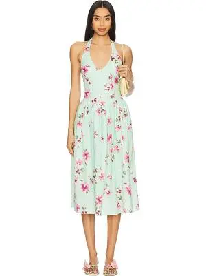 Steve Madden Ressi Halterneck Dress - Mint