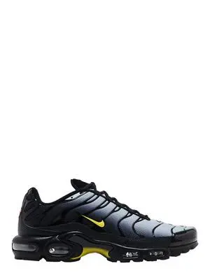 Nike Air Max Plus Sneakers Grey