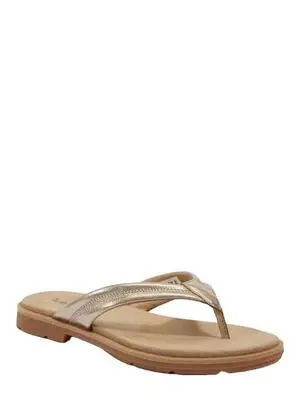 Timberland Timberland Calista Bay Flip Flop Gold Metallic