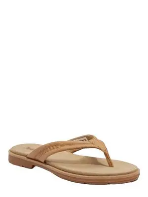 Timberland Timberland Calista Bay Flip Flop Medium Beige Full Grain