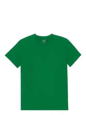 PRIMARY Name Classic Fit Tee - Grass