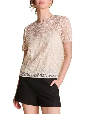 Endless Rose Embroidered Mesh Top - Ivory