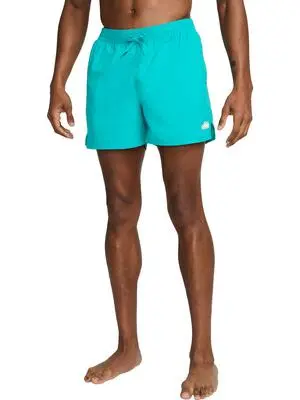 Nike Breaker 5" Volley Shorts - Green