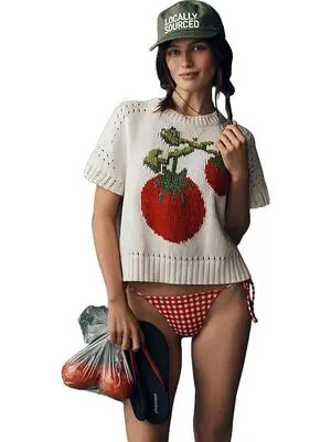 Maeve Graphic Intarsia Crew-Neck Pullover Sweater Multicolor