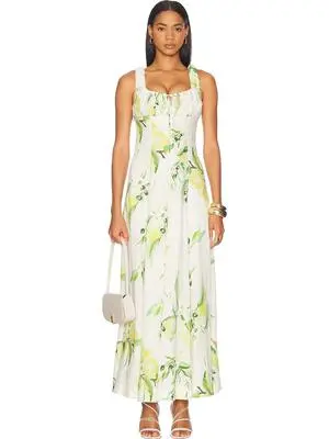 NICHOLAS Dina Midi Dress - Anisa Ivory Lemon