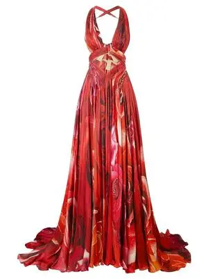 ROBERTO CAVALLI Roberto Cavalli Roses-Printed Gown