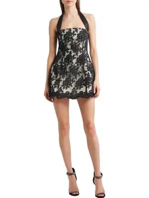 DELFI COLLECTIVE Isabella Lace Halter Minidress - Black