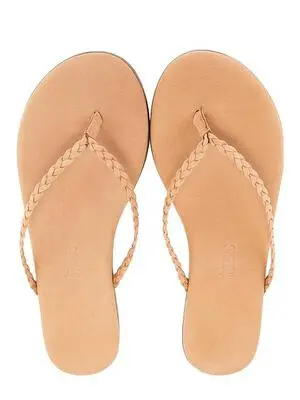 Tkees Lily Braid Sandals - Pout