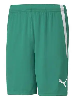 PUMA Teamliga Soccer Shorts Green