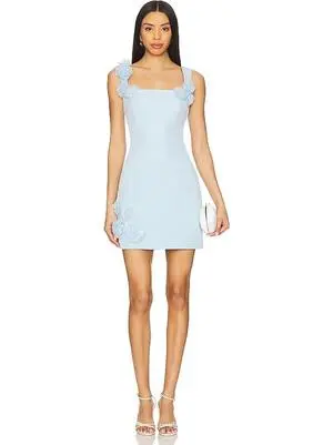 ELLIATT Trompe Dress - Powder Blue