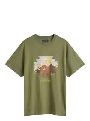 PENDLETON Buffalo T-shirt